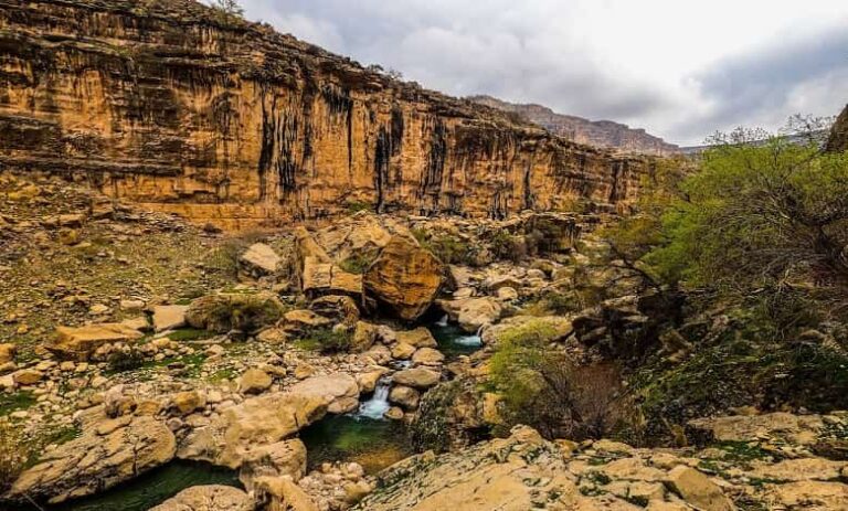 دره کول چپ لرستان | گونه های جانوری وگیاهی + عکس - گردشی تاپ